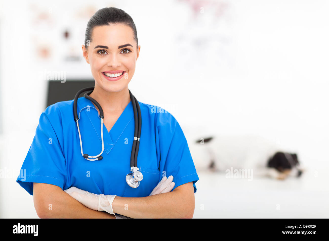 modern pretty veterinarian portrait in office Stock Photo - Alamy