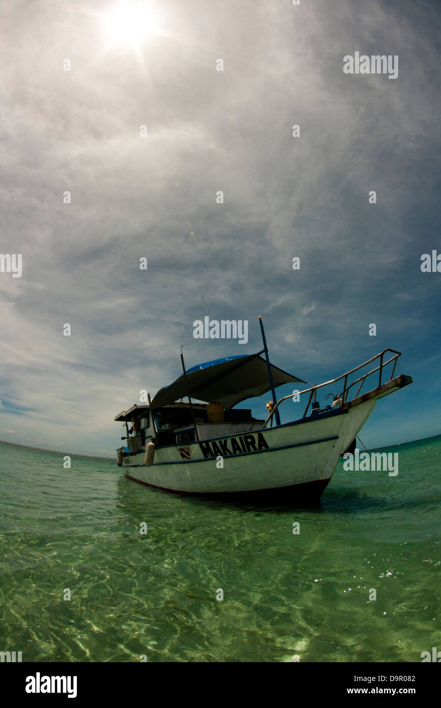 Floating boat clear water hi-res stock photography and images - Alamy