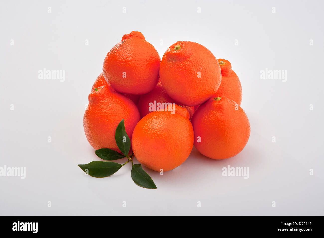 Mineola hi-res stock photography and images - Alamy