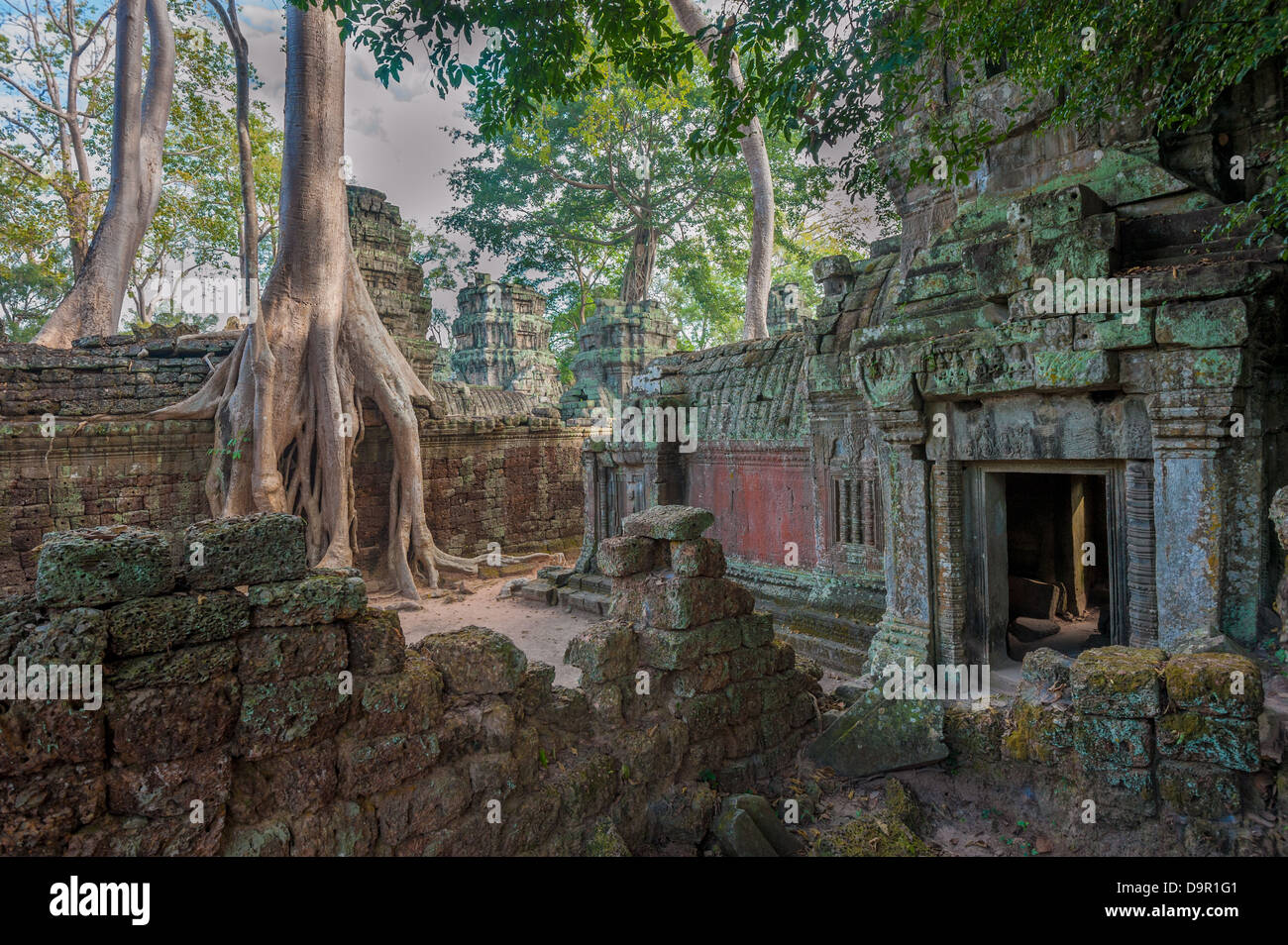 Ta Prohm Temple, Angkor, Cambodia Stock Photo - Alamy