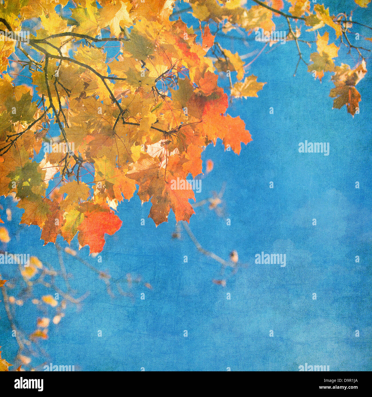 grunge background with autumn leaves Stock Photo - Alamy