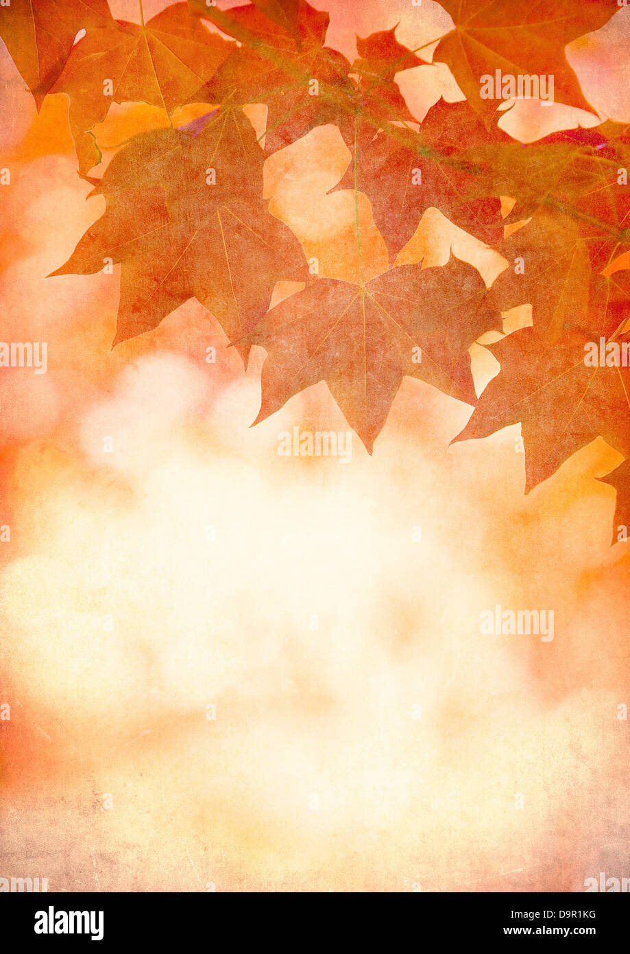 grunge background with autumn leaves Stock Photo - Alamy
