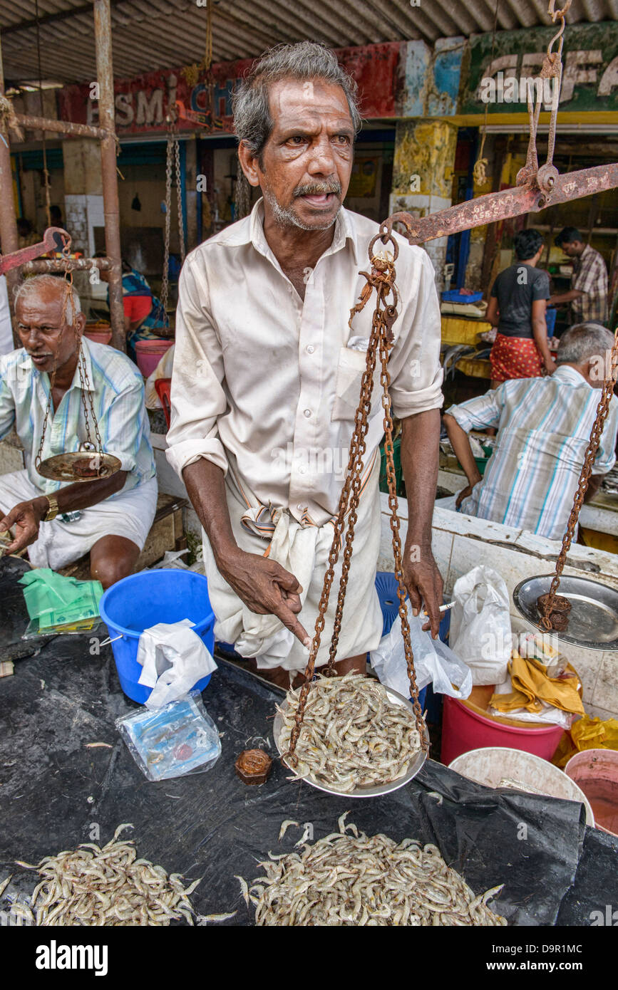 fish vendor at the market of Fort Cochin (Kochi), Kerala, India Stock ...