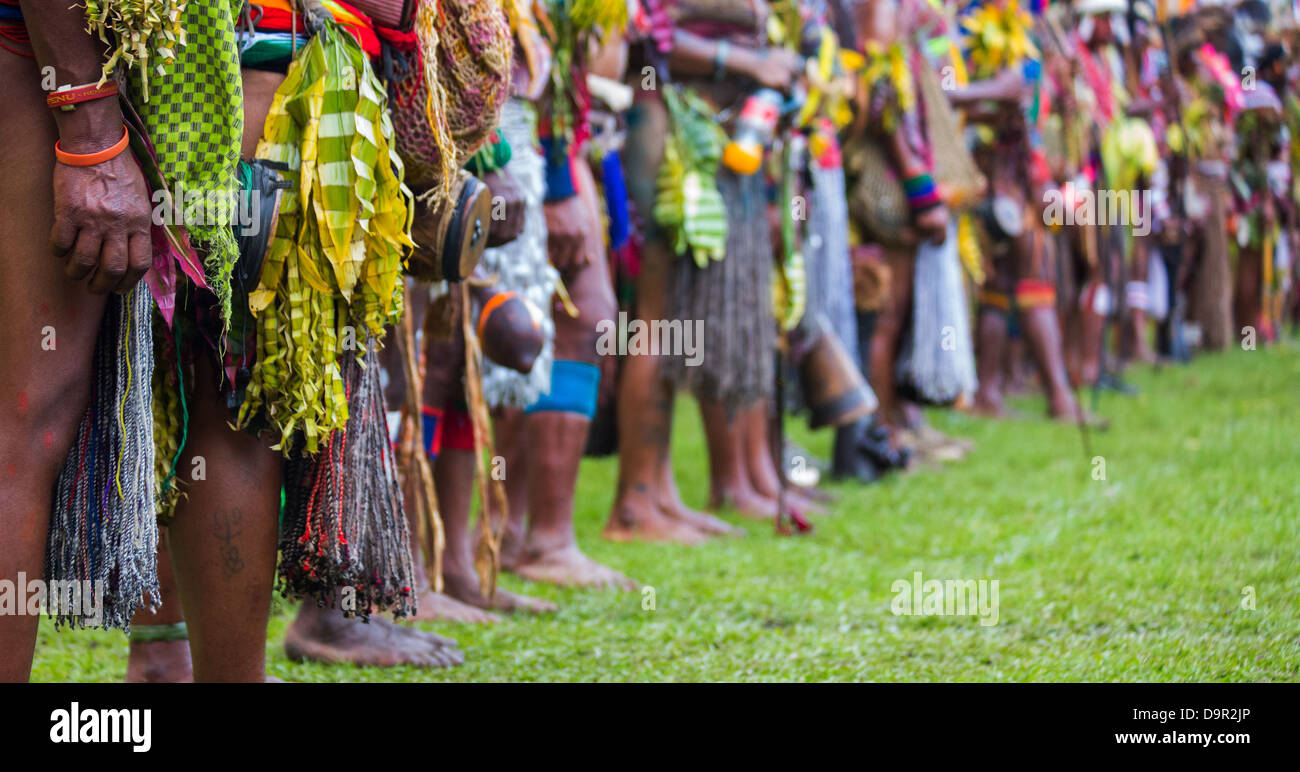 People dressed in traditional tribal outfits and carrying tribal flags ...