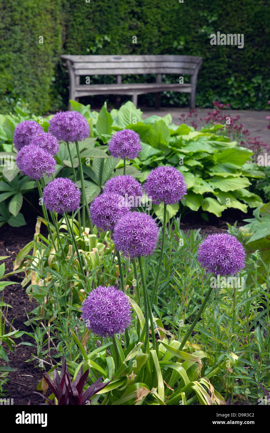 Allums hi-res stock photography and images - Alamy