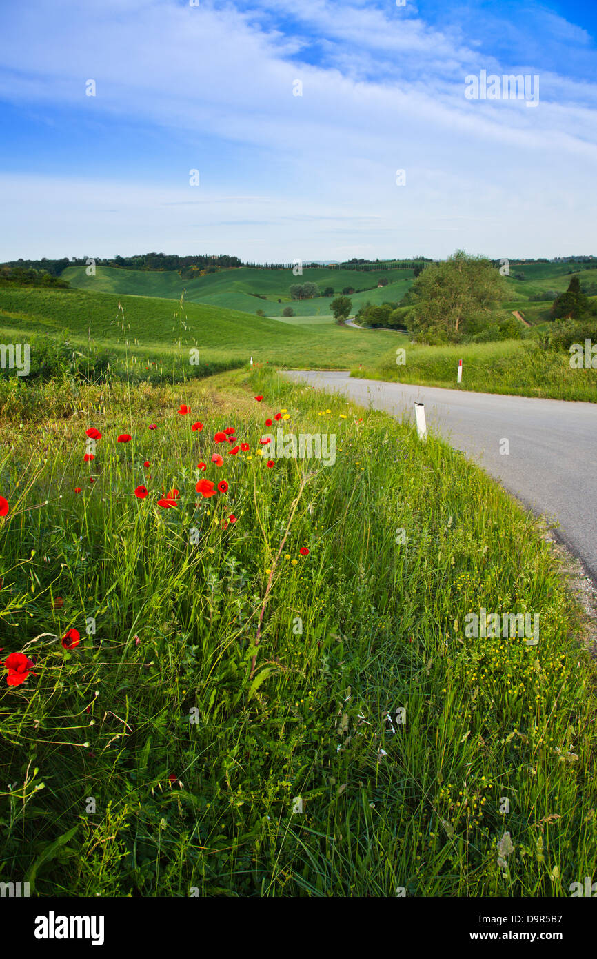 People tuscany italy landscape siena hi-res stock photography and ...
