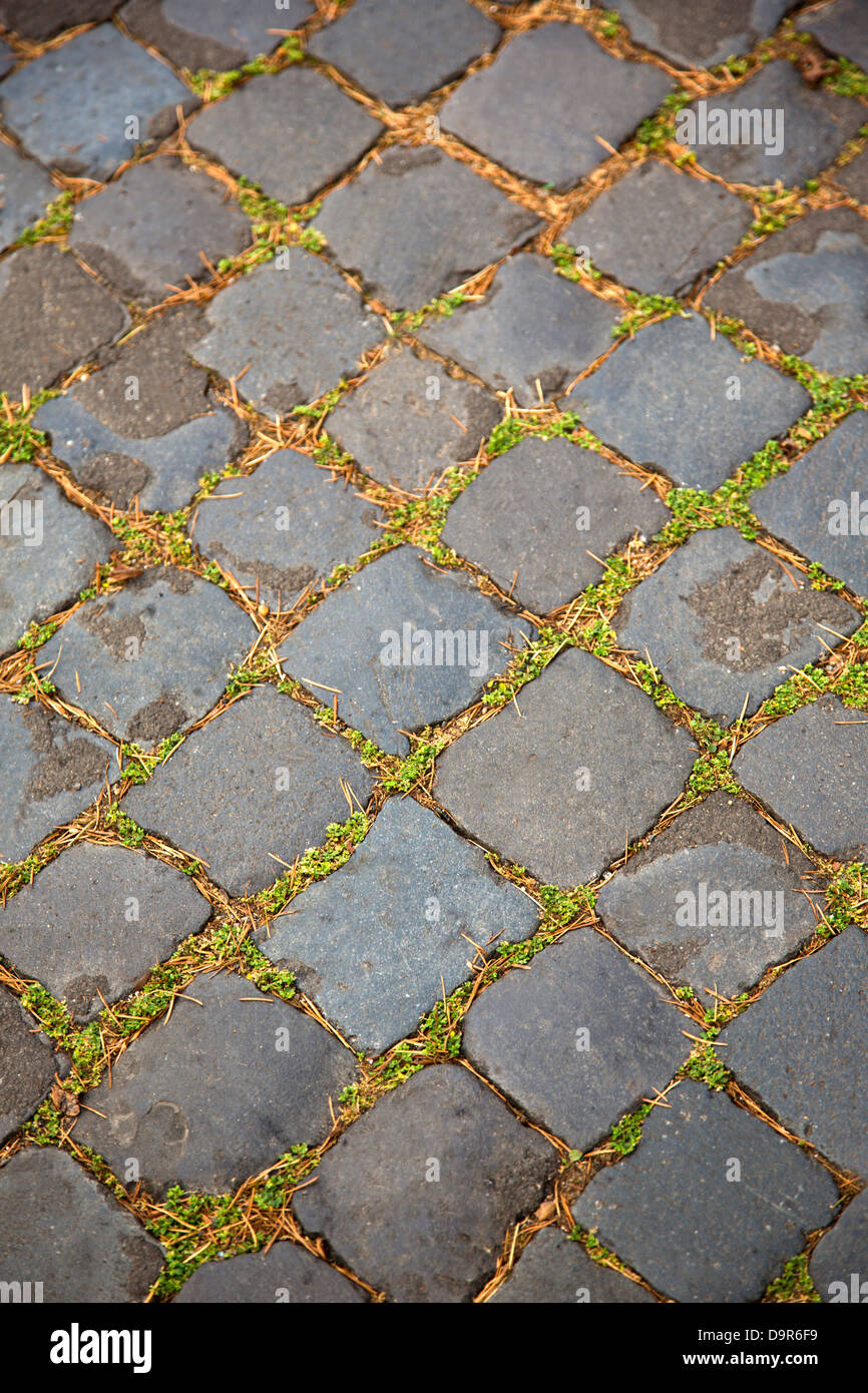 Stone pathway with moss growing in the cracks, Rome, Rome Province ...