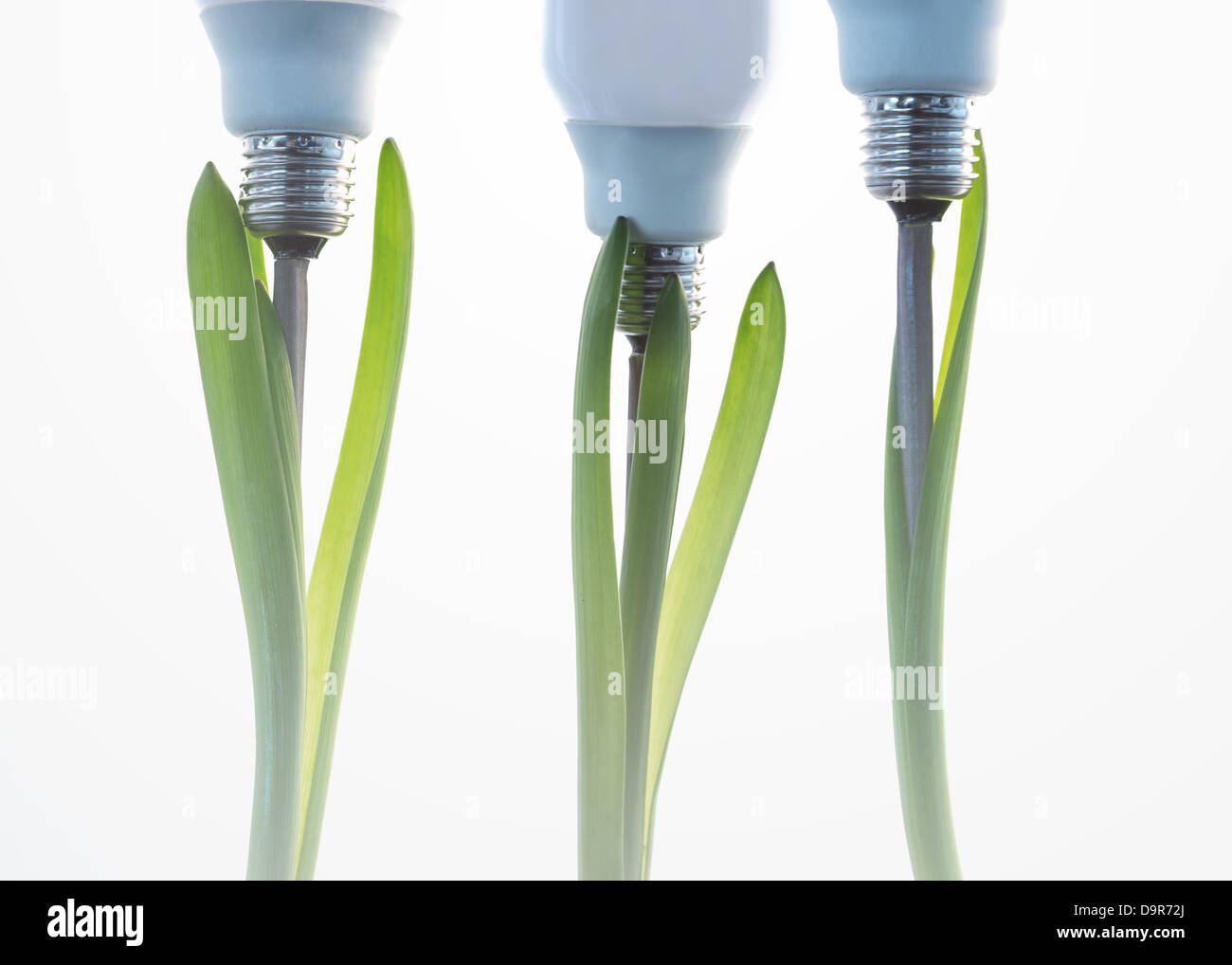 Economic plants hi-res stock photography and images - Alamy