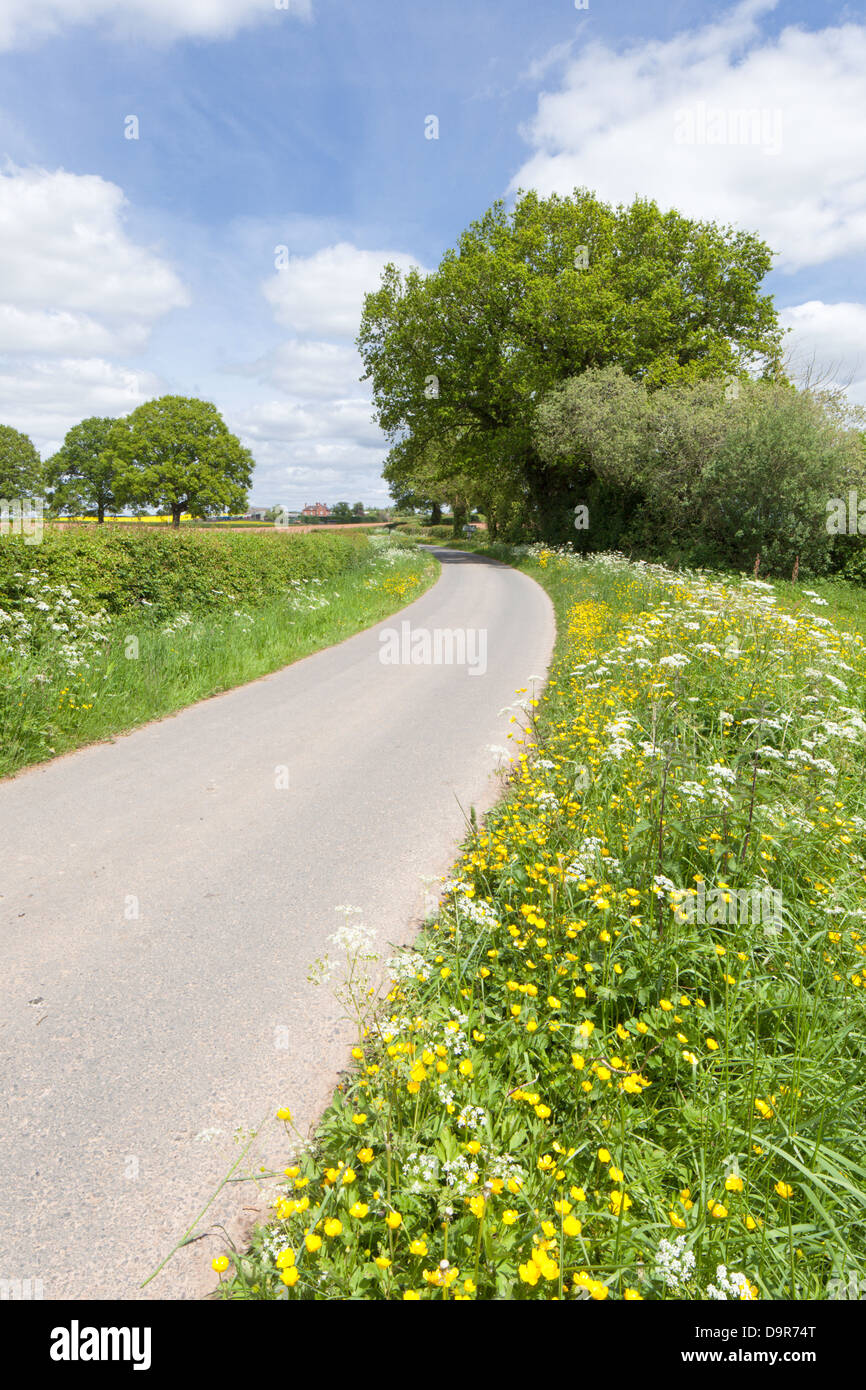English country lane hi-res stock photography and images - Alamy