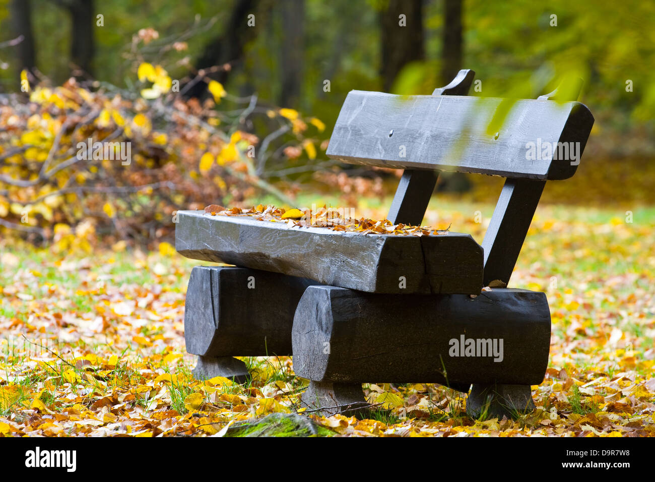 Lonely bench in the park Stock Photo - Alamy