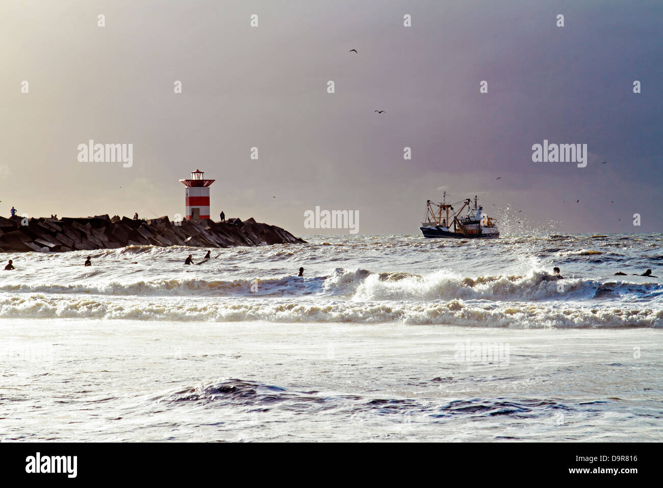 Surfers surfing at sunset in Scheveningen Netherlands Stock Photo - Alamy