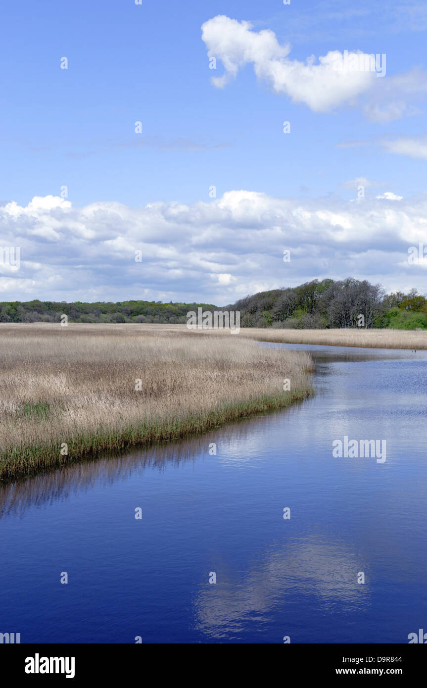 Lymington River, Lymington, Hampshire, England, UK, GB Stock Photo - Alamy