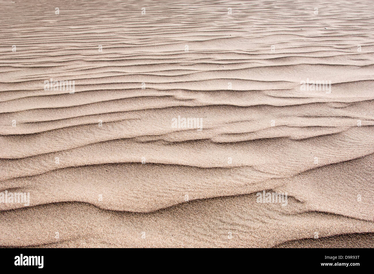 Extremely dry atacama desert hi-res stock photography and images - Alamy