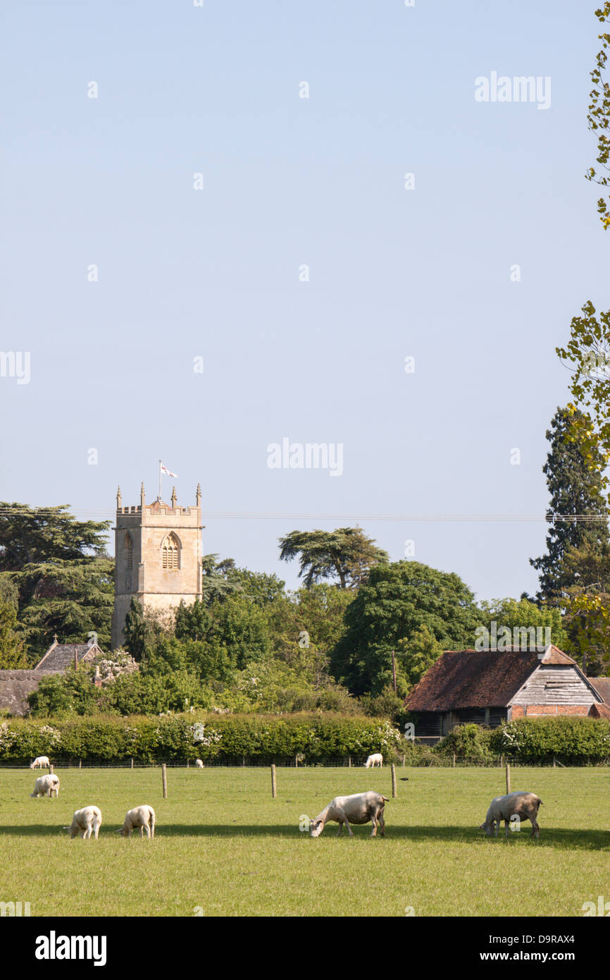 Looking across fields to St Michaels Church, Great Comberton ...