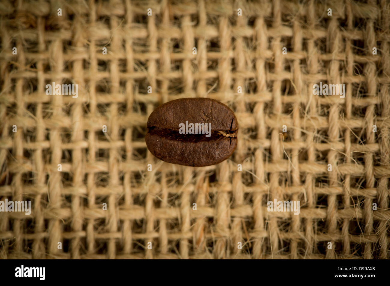 Single coffee bean close up Stock Photo - Alamy