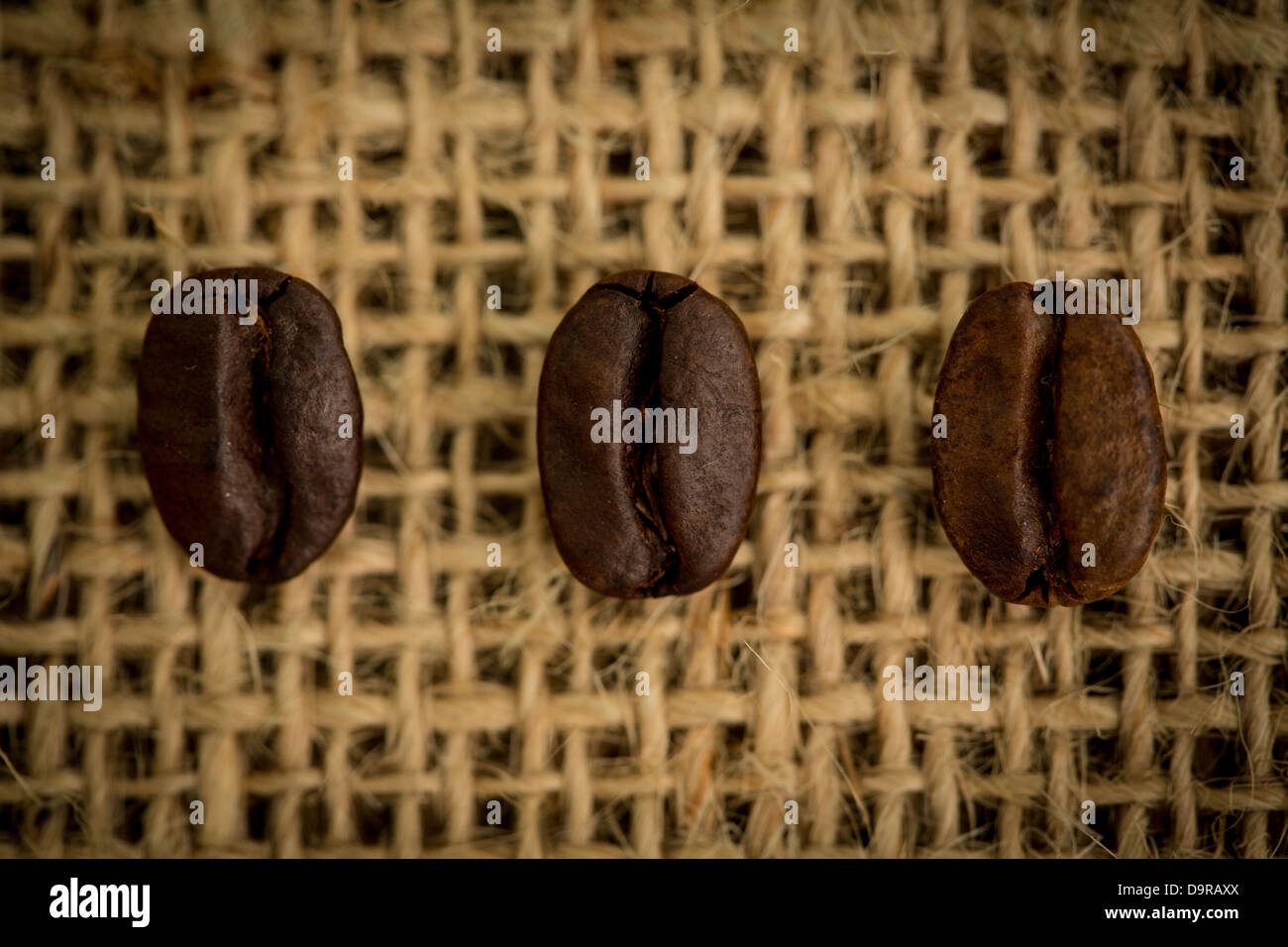 Row coffee hi-res stock photography and images - Alamy