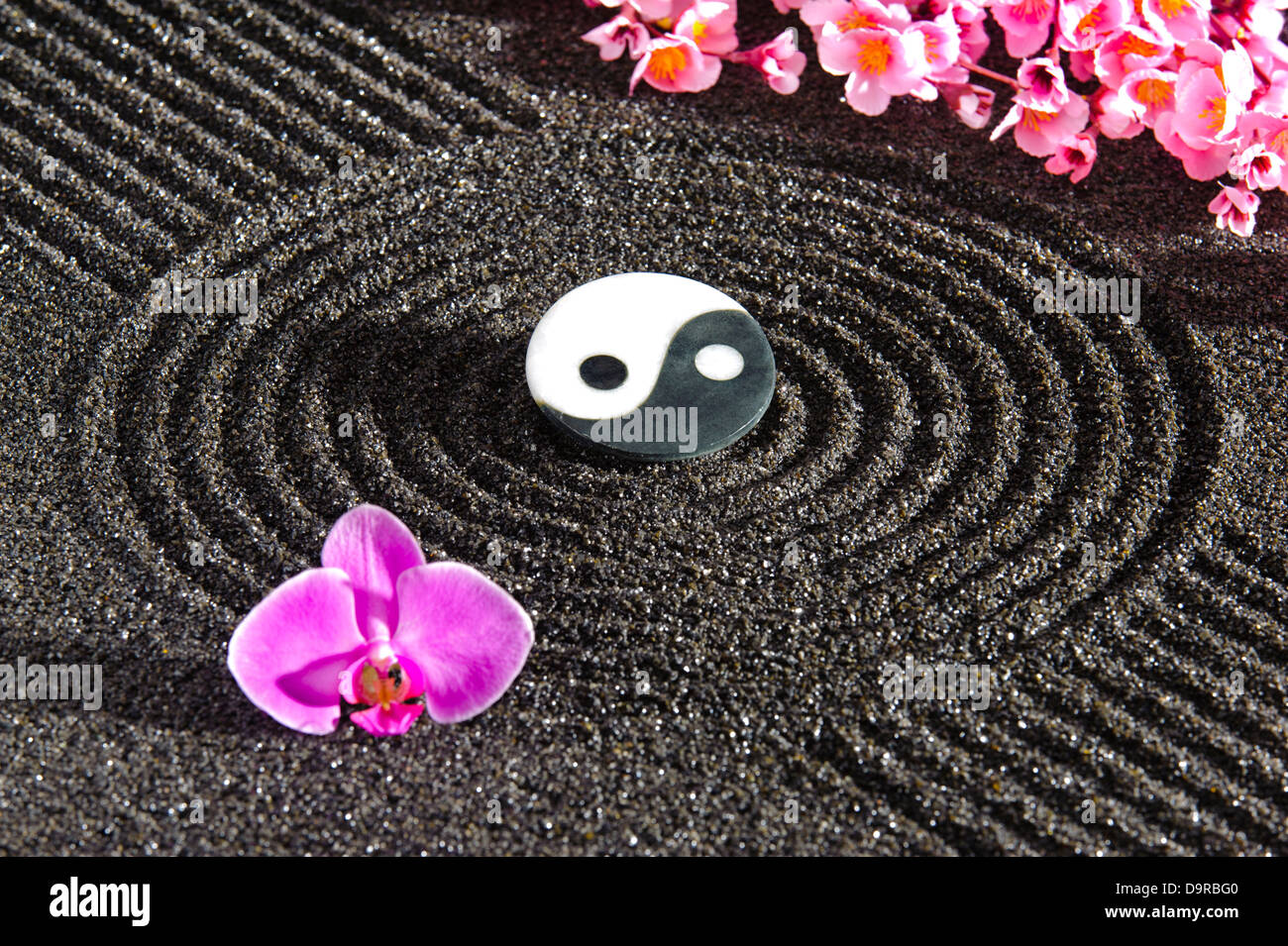 Japanese zen garden with yin and yang stone in sand Stock Photo - Alamy