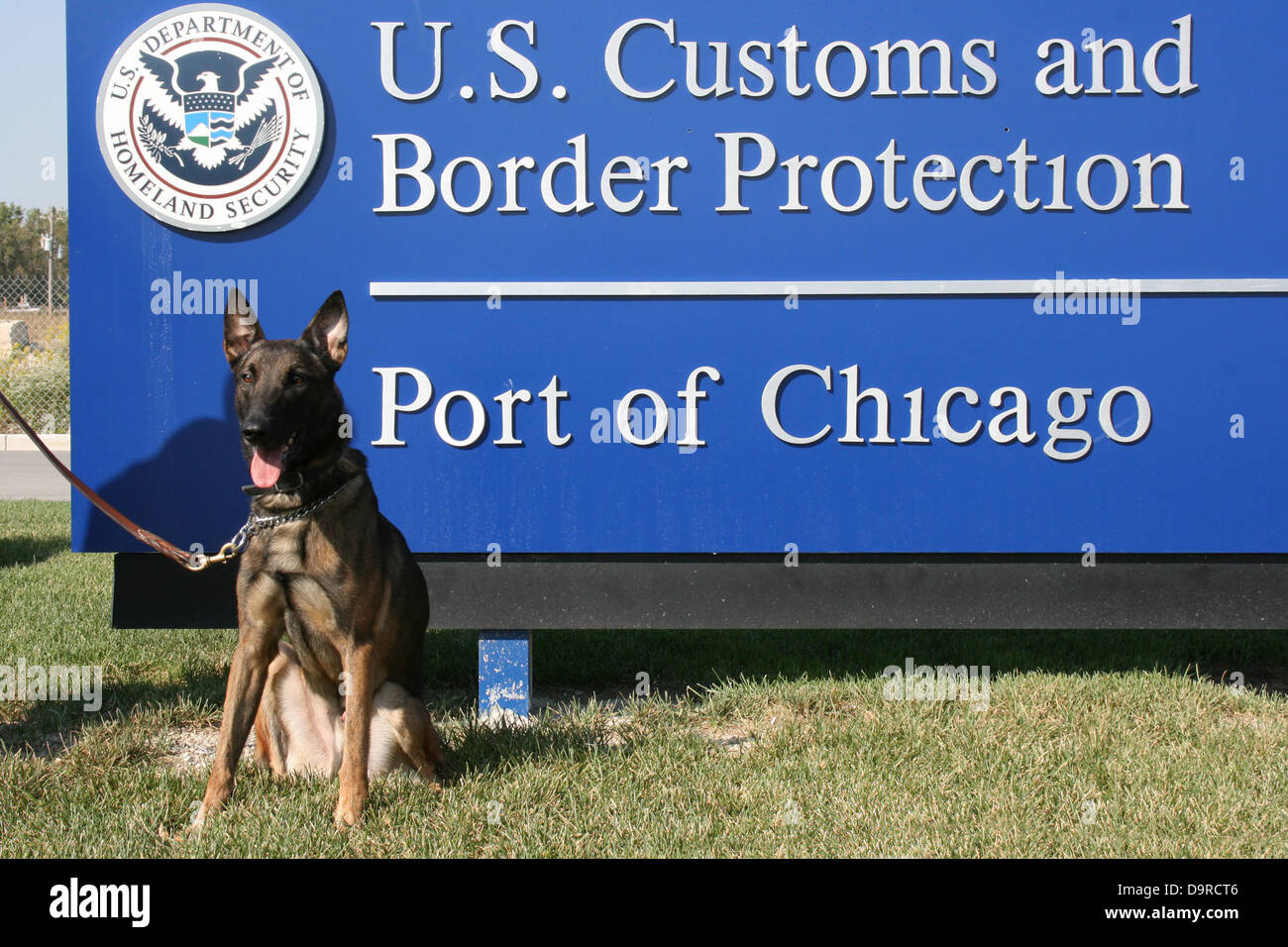 U.S. Customs and Border Protection canine ''Shadow'' played a pivotal ...