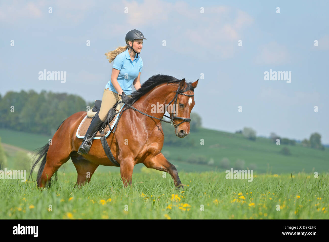 Horse ridering hi-res stock photography and images - Alamy