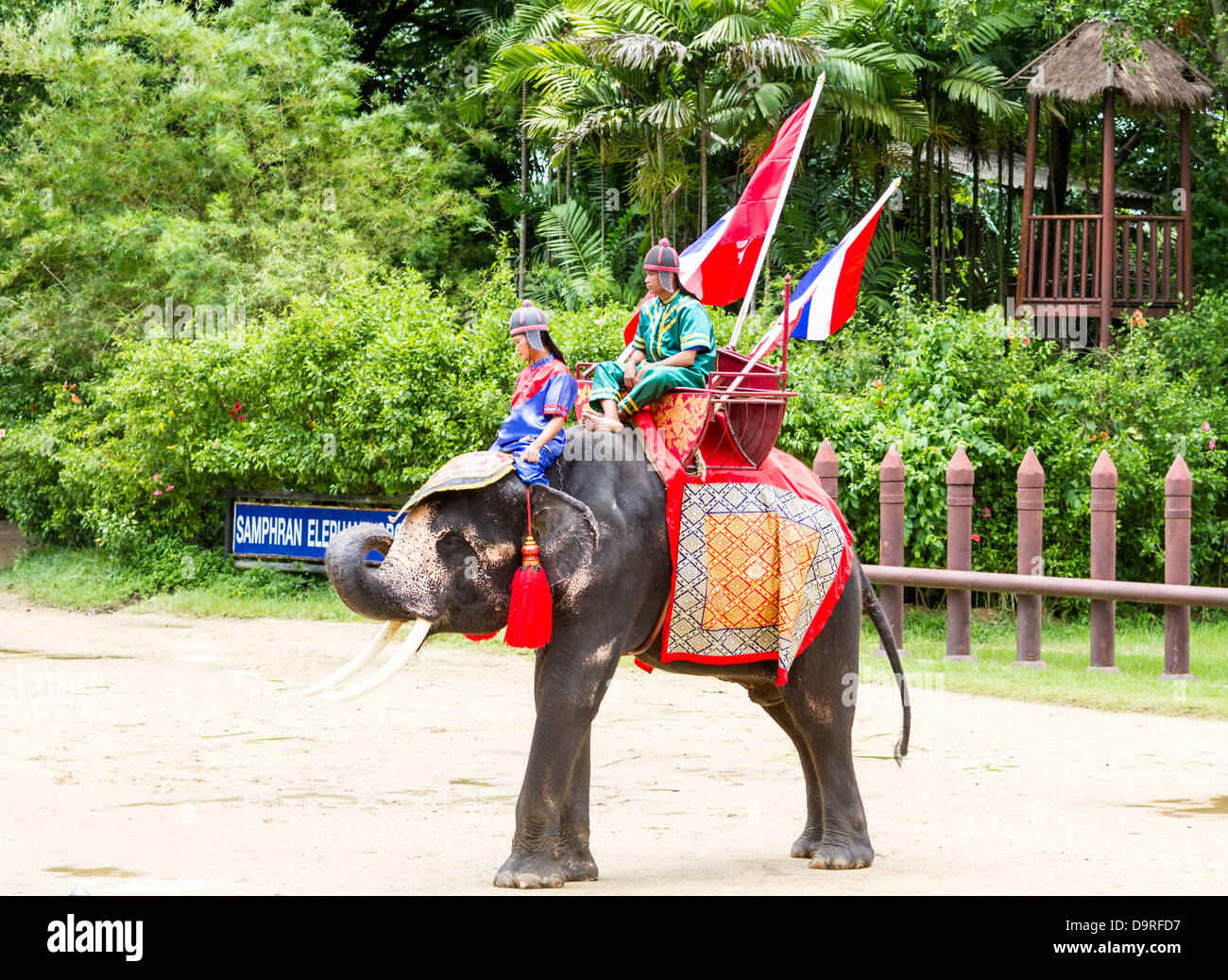 Thai Elephant Warrior