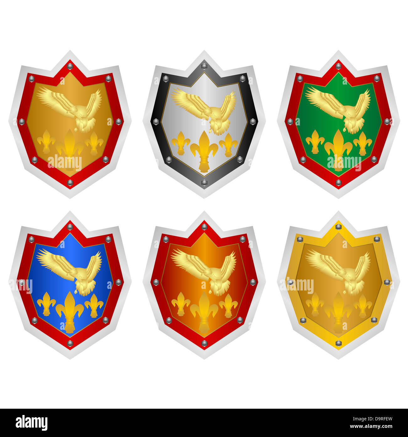 Shield with the image of a flying eagle. The illustration on a white ...