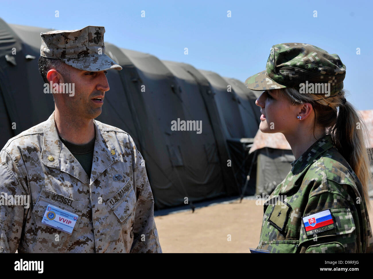 International logistics standardization and interoperability Field ...