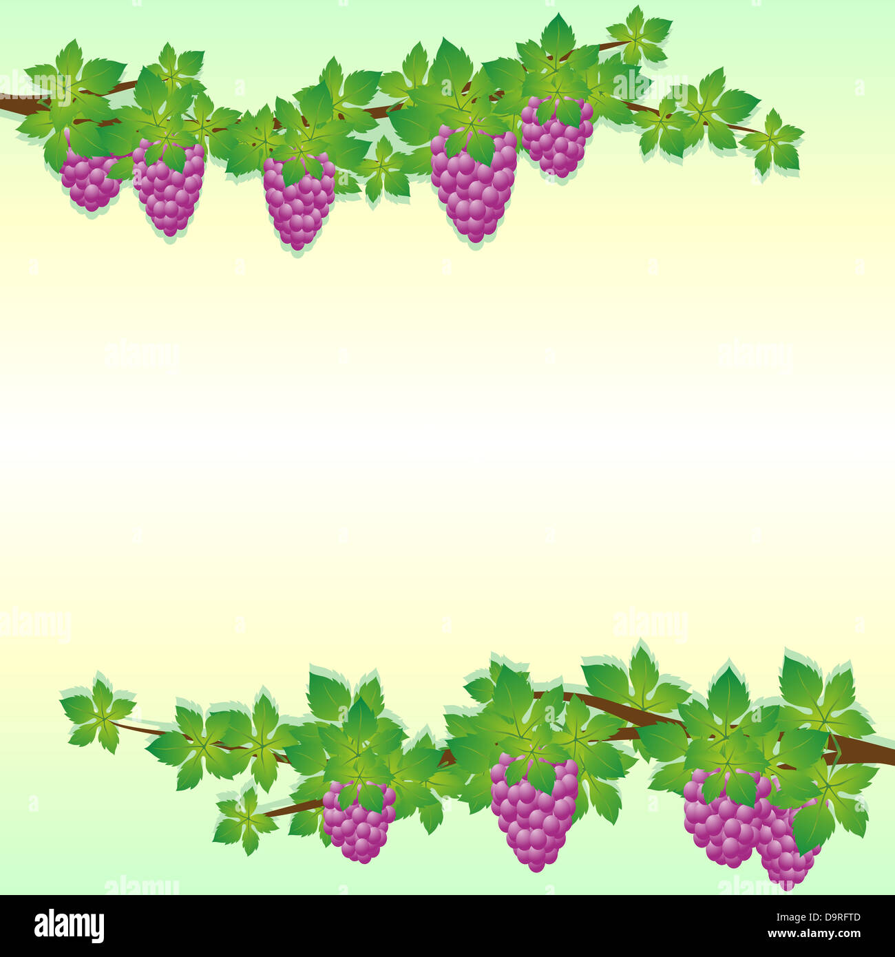 Vine with bunches of grapes. Abstract background on a theme of seasons ...