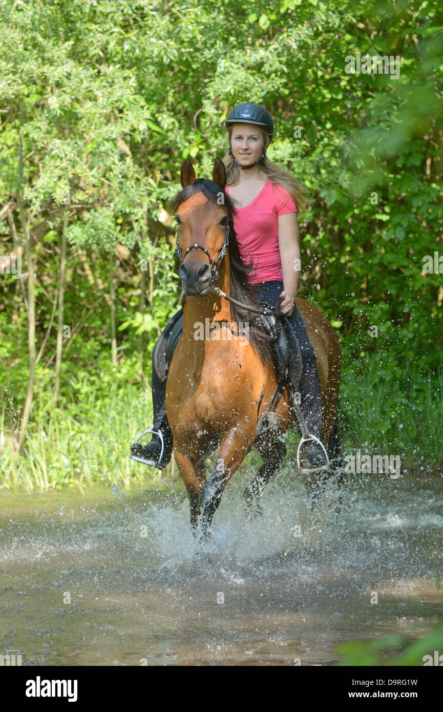 Horse rider hi-res stock photography and images - Alamy