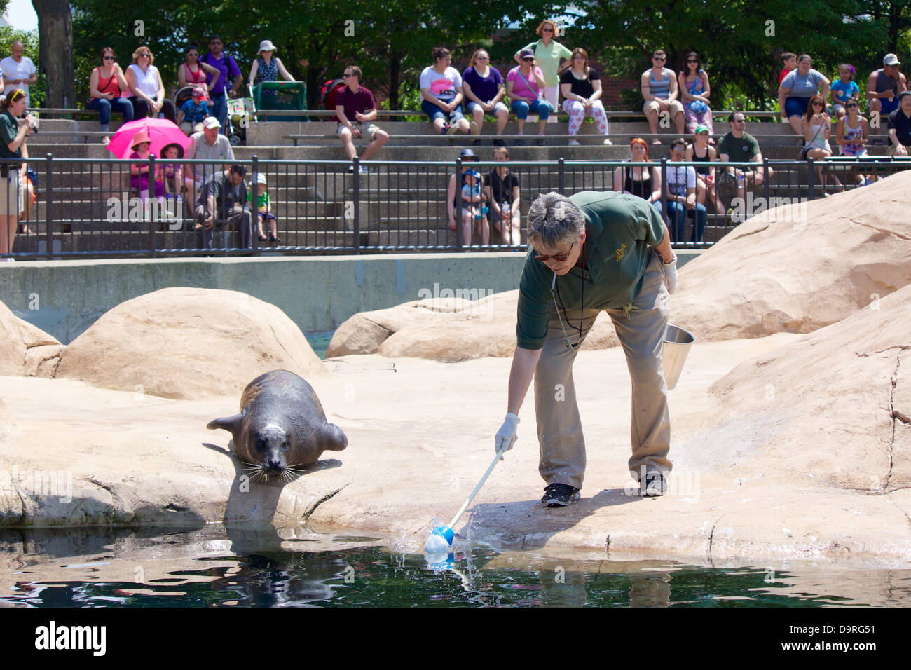Zoo keeper hi-res stock photography and images - Alamy