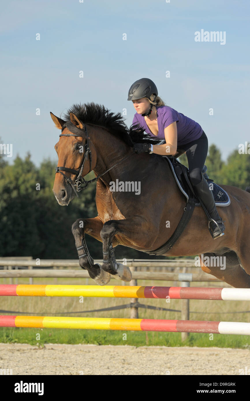 Person On Horse Jumping High Resolution Stock Photography and Images ...