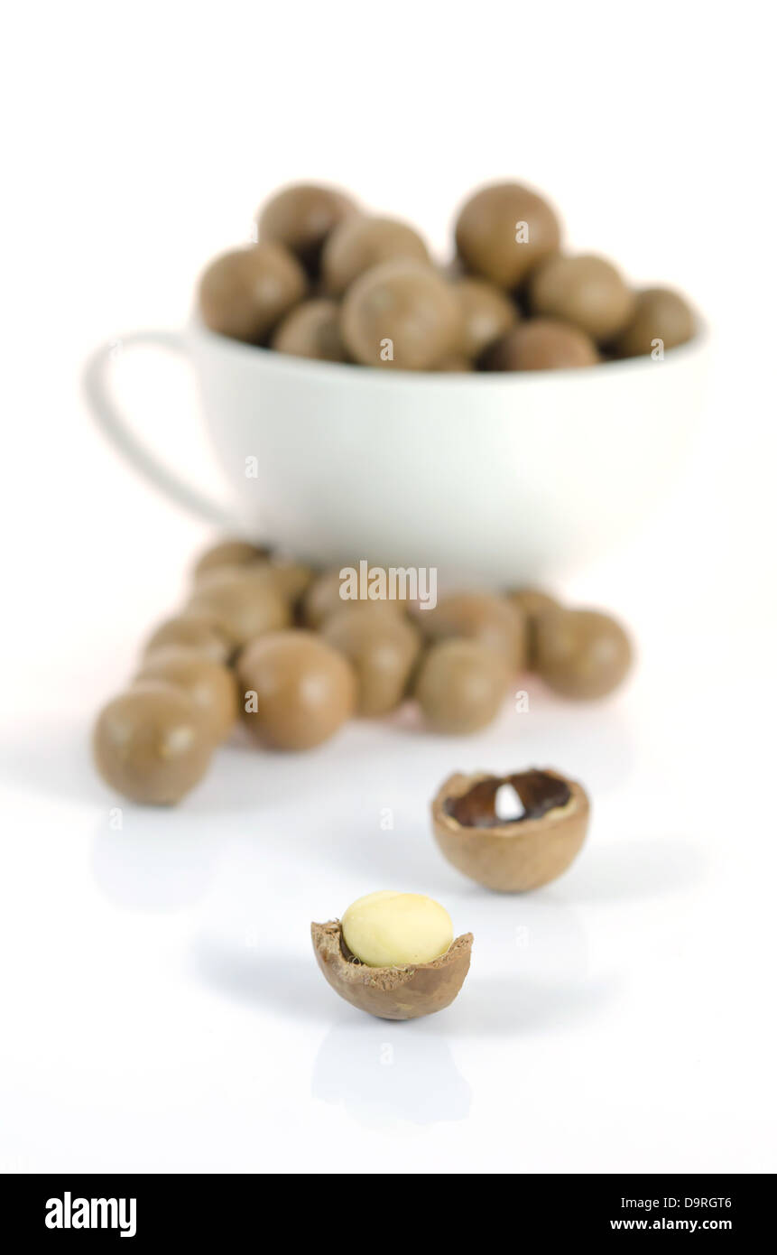 close up shelled macadamia , macadamia on white background Stock Photo ...