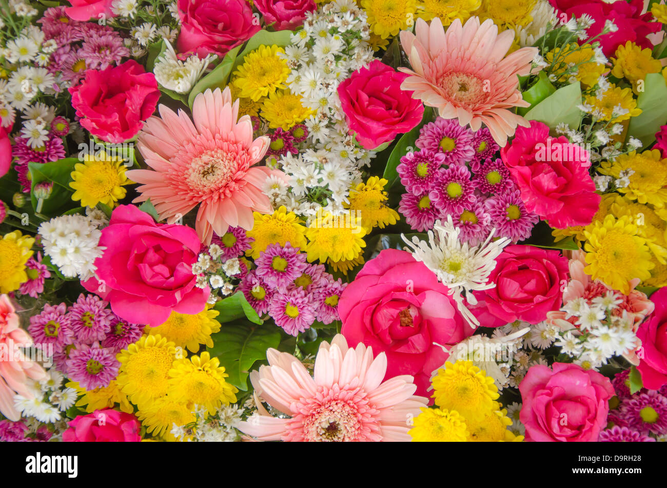 mixed of fresh colorful flower bouquet Stock Photo - Alamy