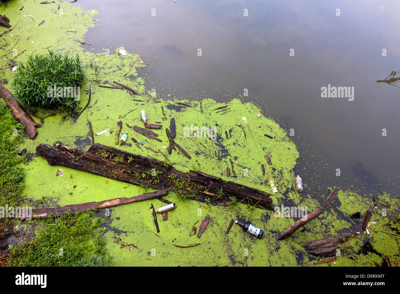 Fetid water hi-res stock photography and images - Alamy