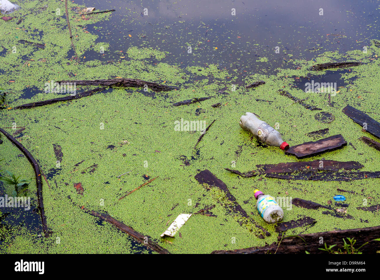 River pollution hi-res stock photography and images - Alamy