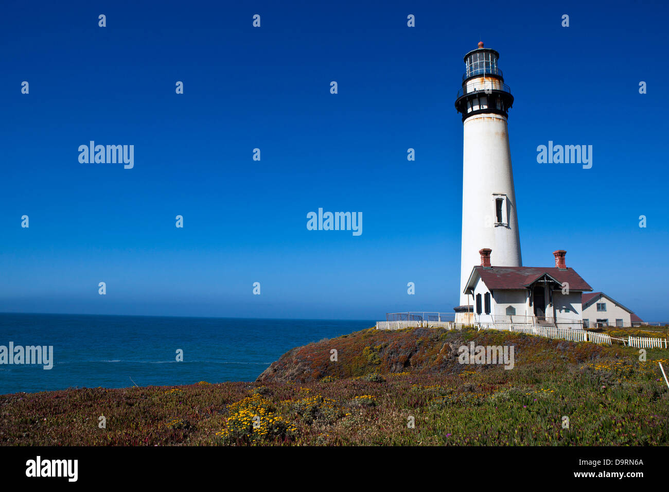 Pigeon point lighthouse pescadero hi-res stock photography and images ...