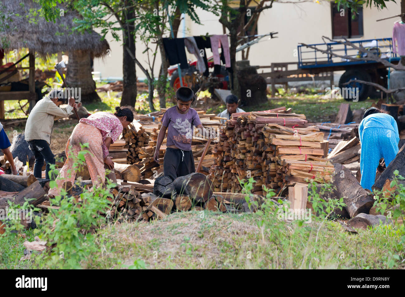 Village People chopping Wood in the rural Kampot Province of Cambodia ...
