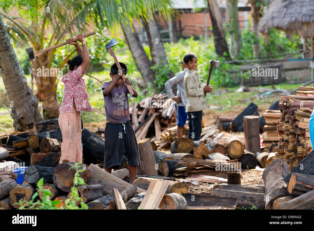 Village People chopping Wood in the rural Kampot Province of Cambodia ...