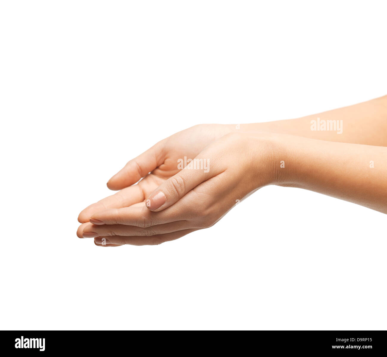 Cupped Hands Side Drawing Premium Vector | Female Hand Holding A Cup