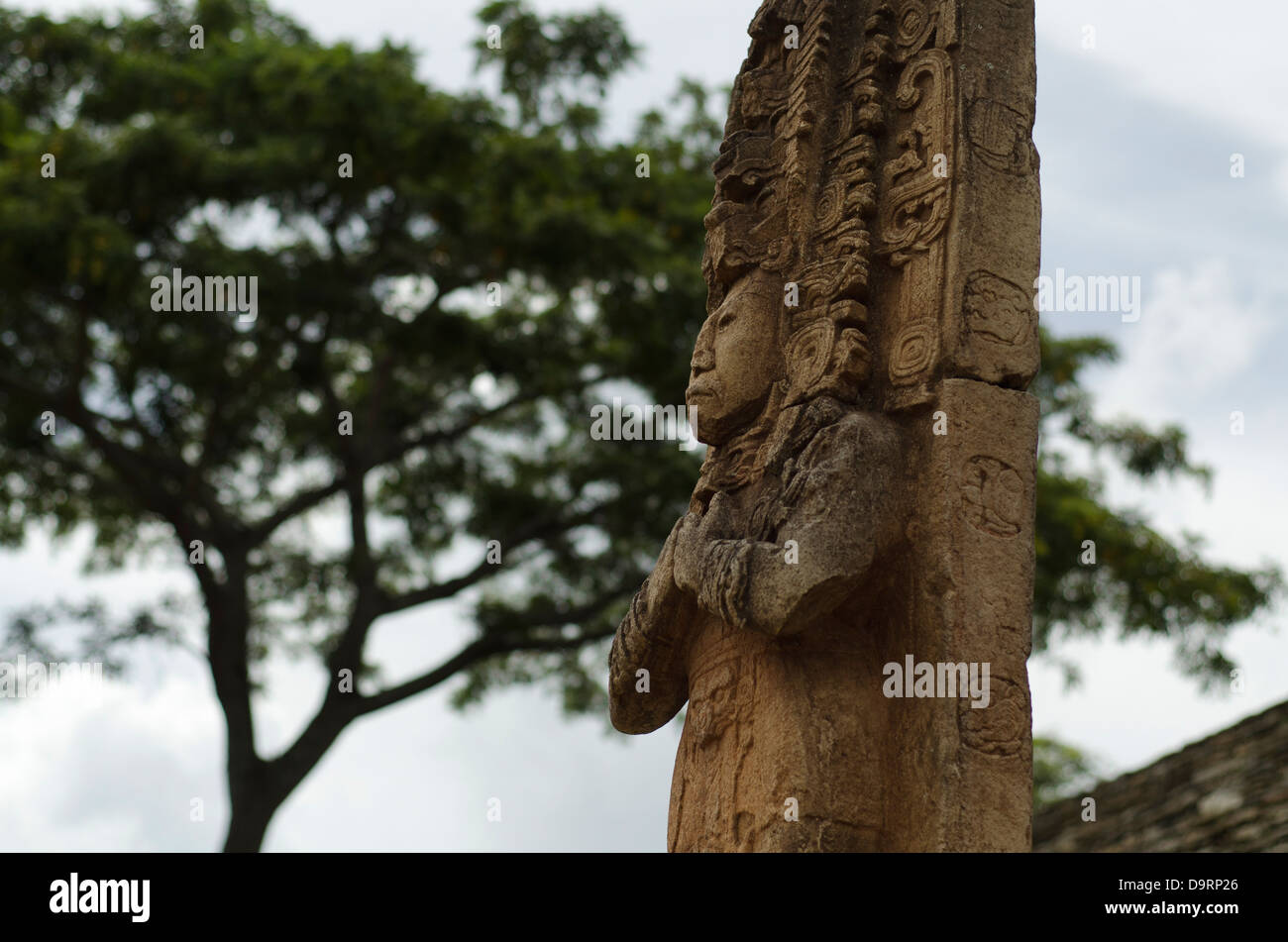 Mayan stelae hi-res stock photography and images - Alamy