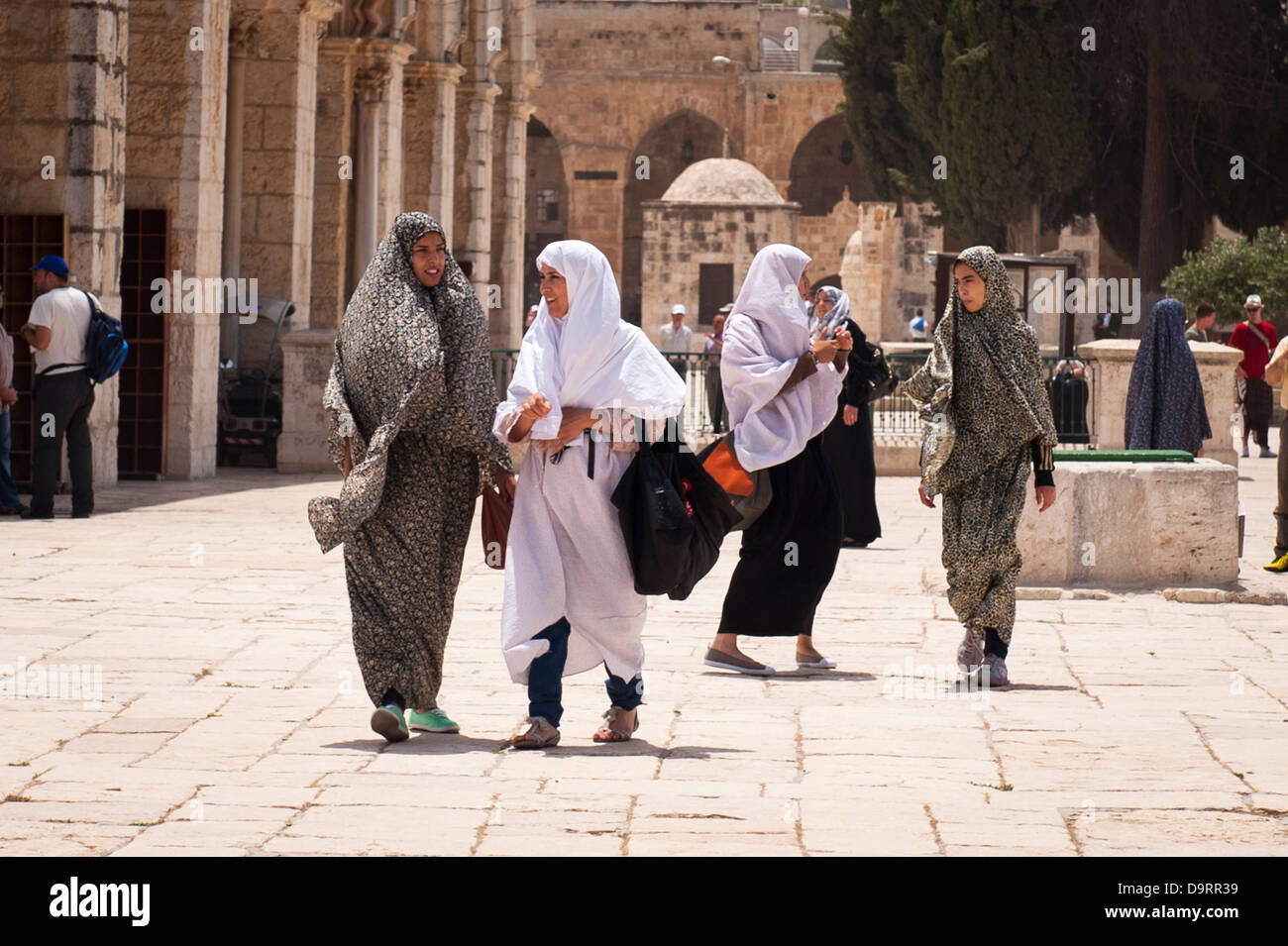 Dm13it0744 hi-res stock photography and images - Alamy