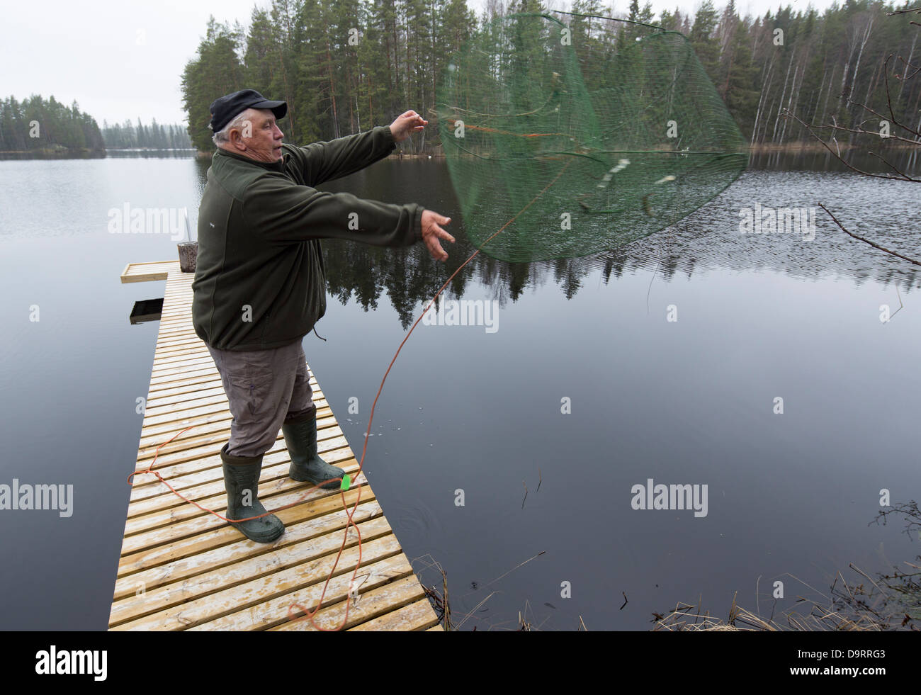 Elderly man throwing a fish trap ( katiska ) back to water , Finland ...