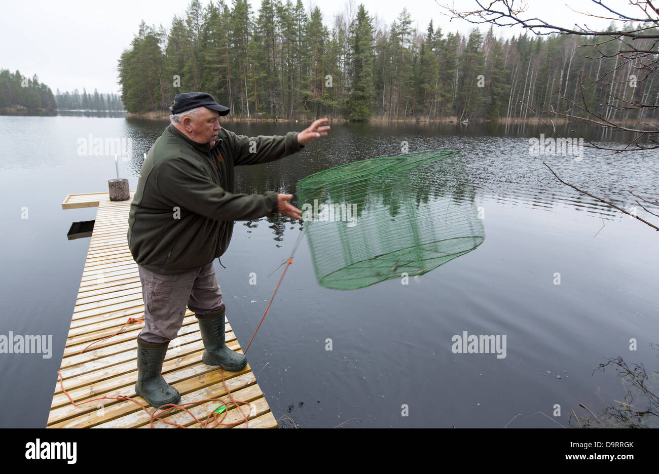Elderly man throwing a fish trap ( katiska ) back to water , Finland ...