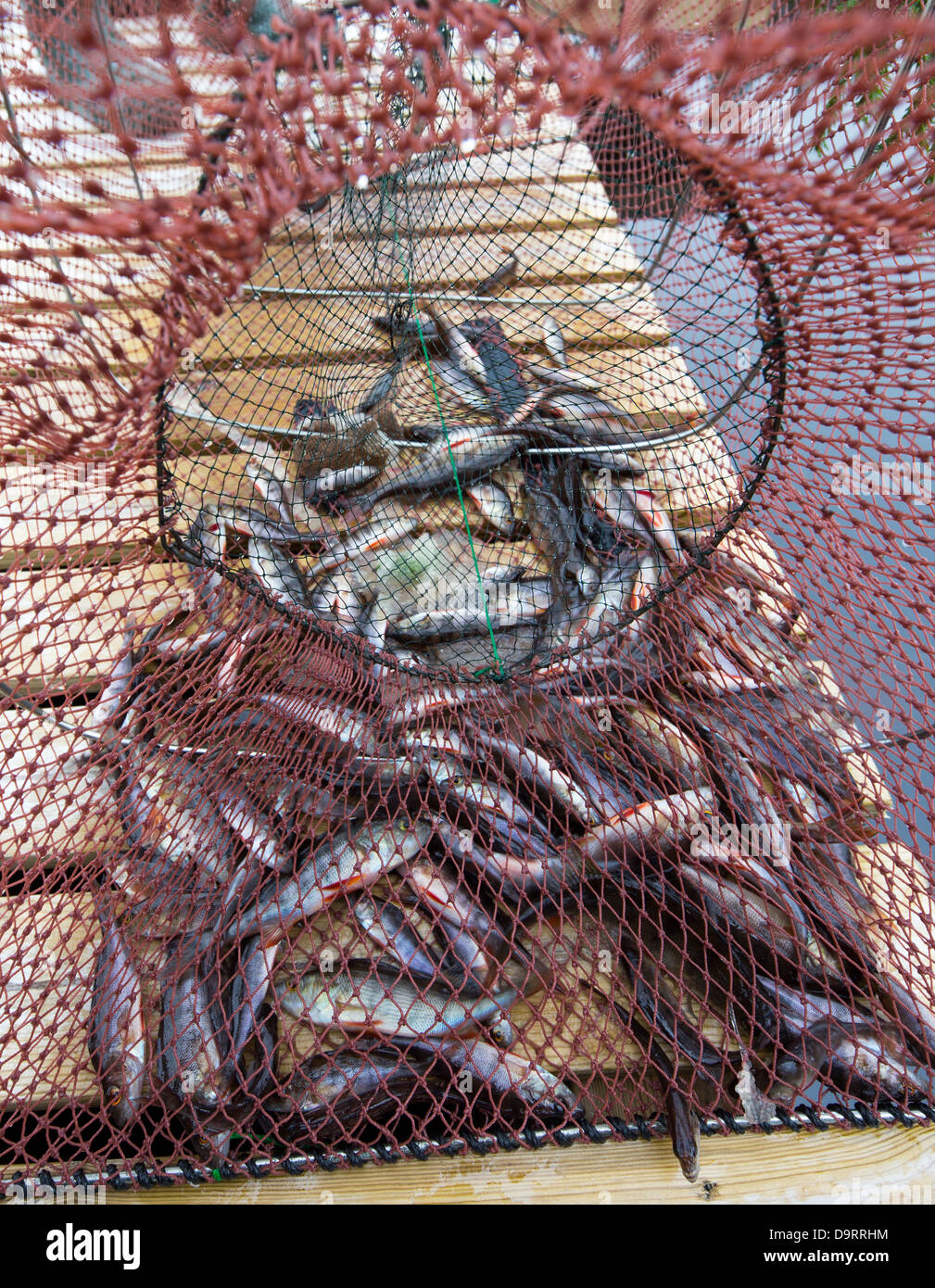 Small Fish Trap High Resolution Stock Photography and Images - Alamy