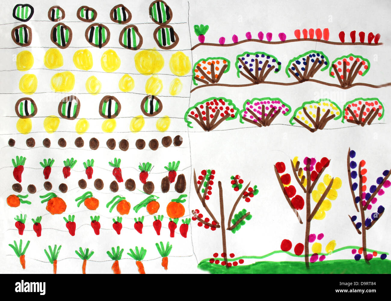 Pencil drawing fruits hi-res stock photography and images - Alamy