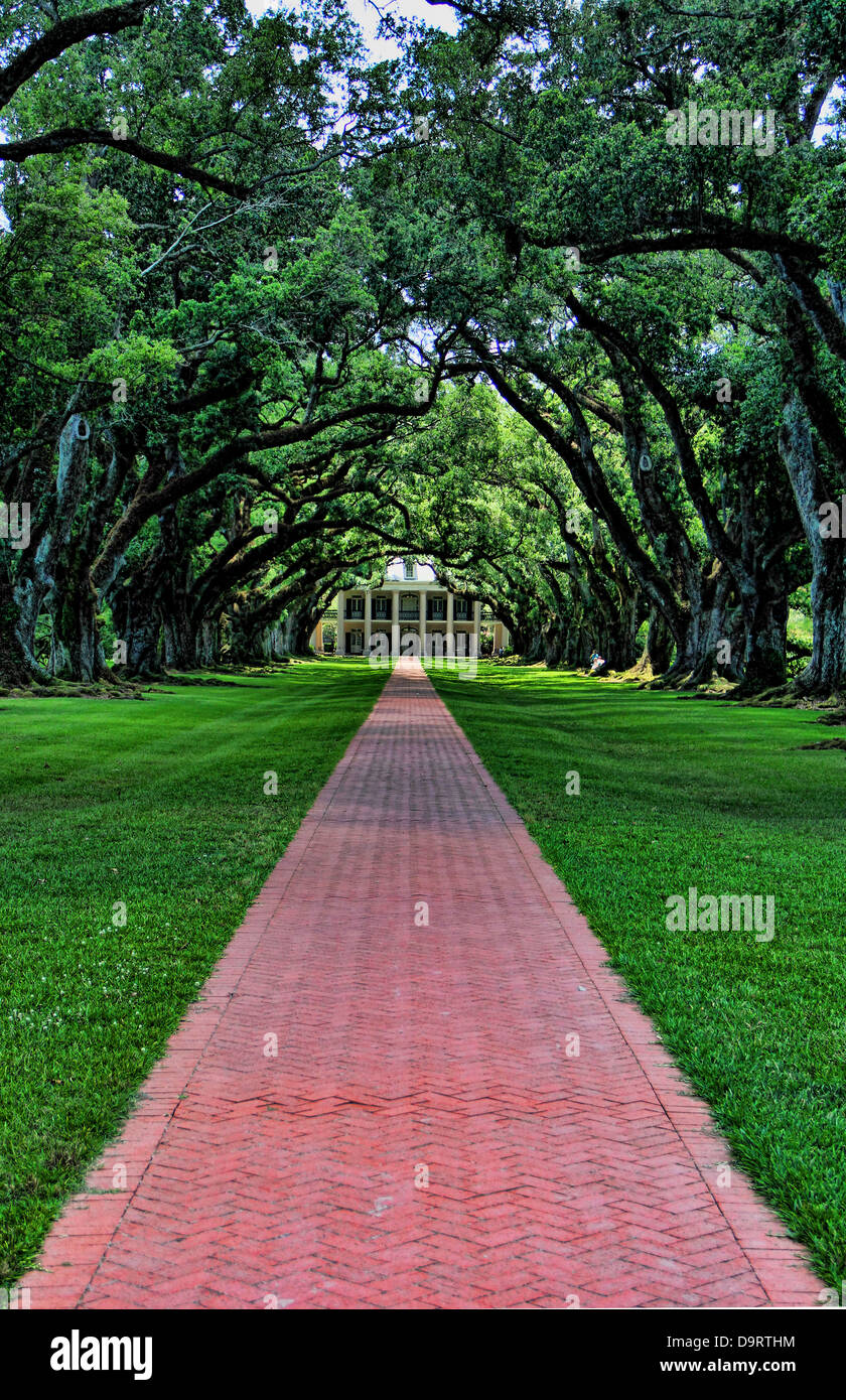 southern plantation home with brick sidewalk and oak trees Stock Photo ...