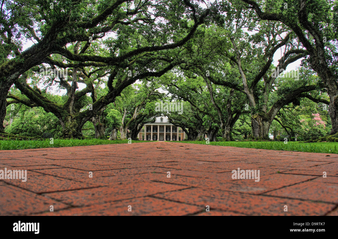 Oak Alley Plantation Antebellum Mansion High Resolution Stock ...