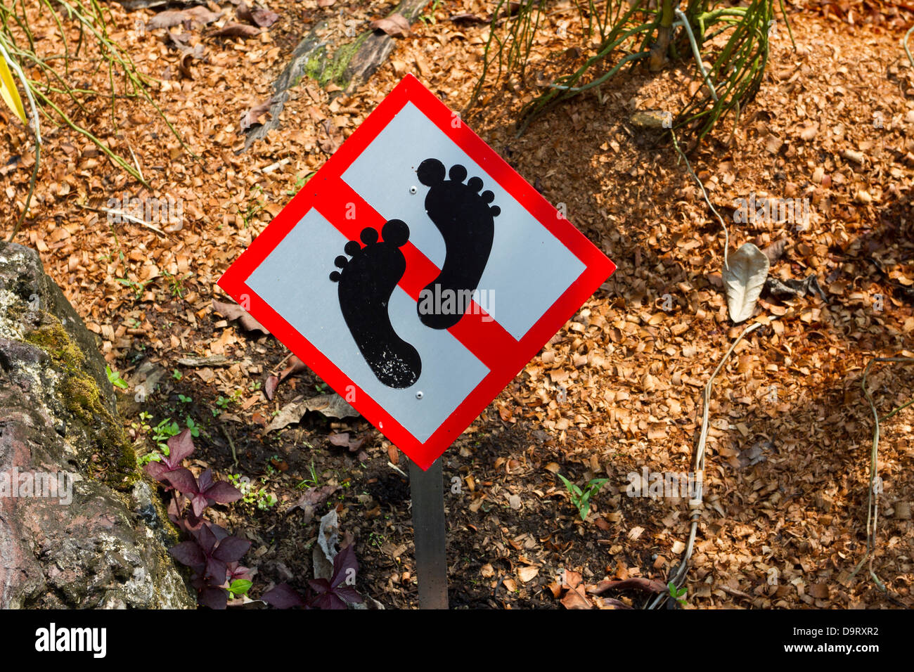 No walking sign, dont/no step on the plants, Singapore Botanic Gardens ...