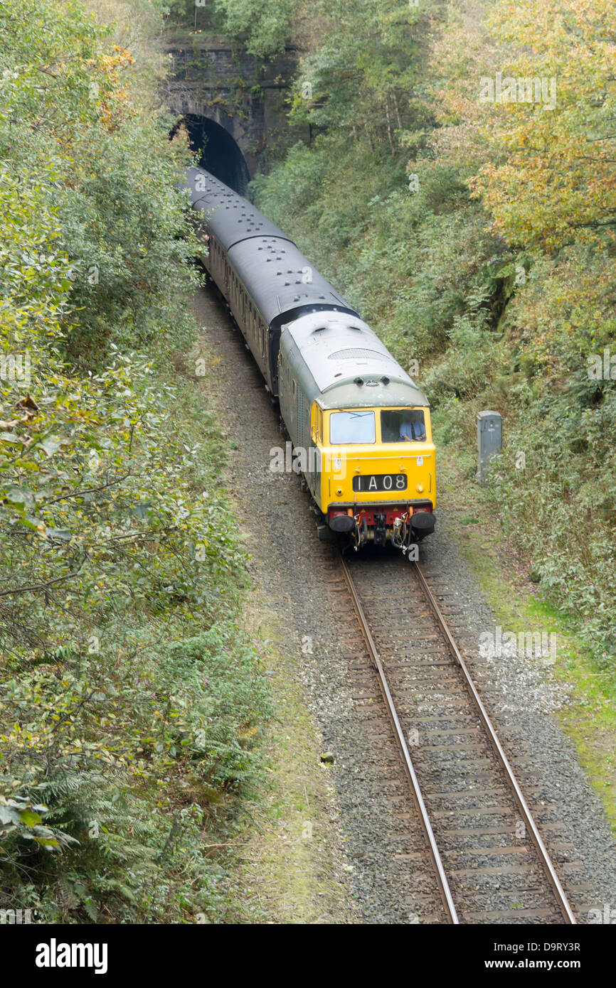 D7076 Beyer Peacock 'Hymek' diesel-hydraulic locomotive pulling a ...