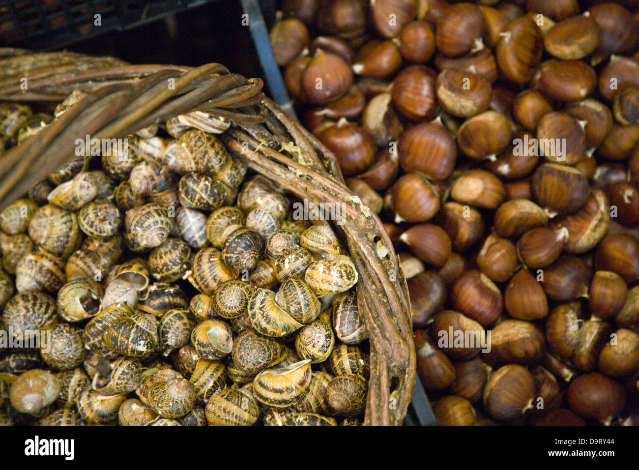 Greece crete snails hi-res stock photography and images - Alamy