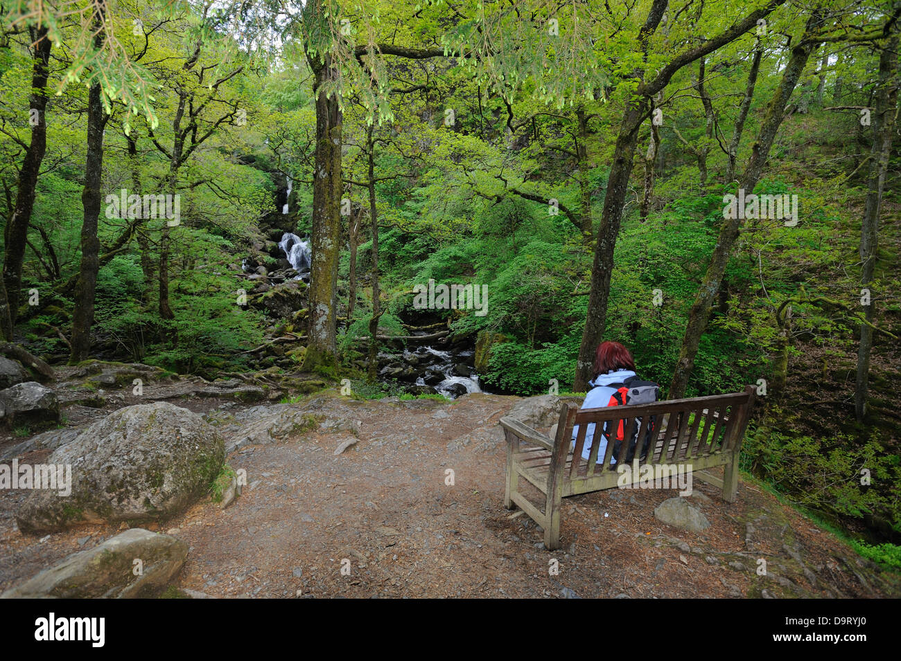 Ladore falls hi-res stock photography and images - Alamy